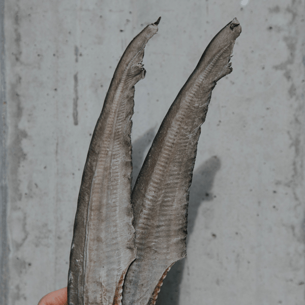 Shark Tails | Dehydrated Dog Treats – Ferguson's Treatos